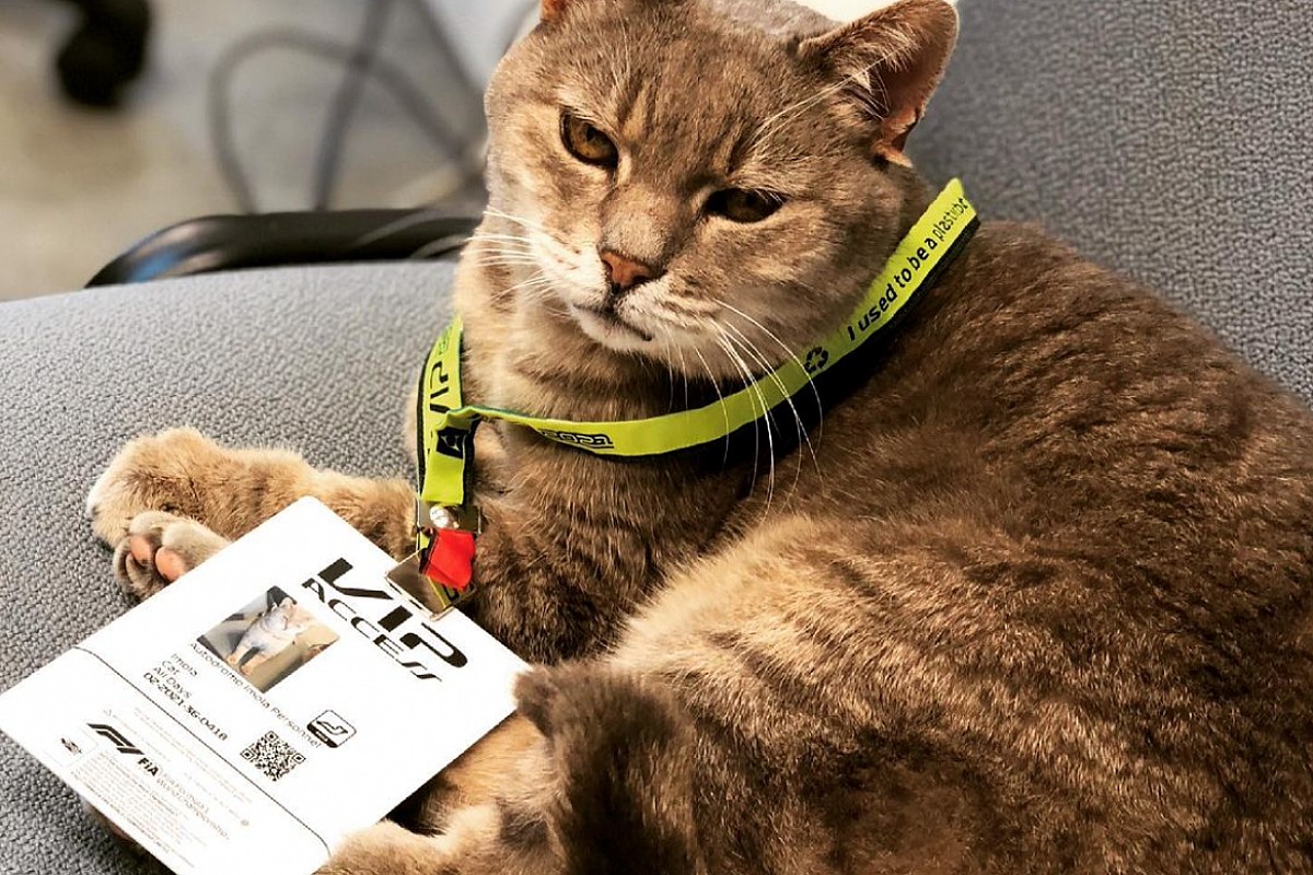The secret of Imola’s lucky F1 paddock cat