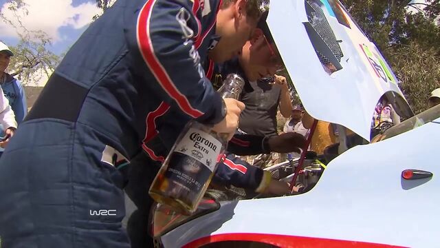 Thierry Neuville usa cerveza Corona como líquido refrigerante en el ...